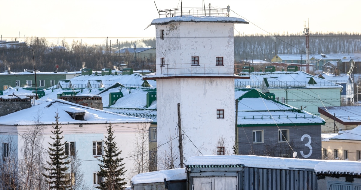 "Верстка": против замначальника колонии в Харпе, где погиб Навальный ...
